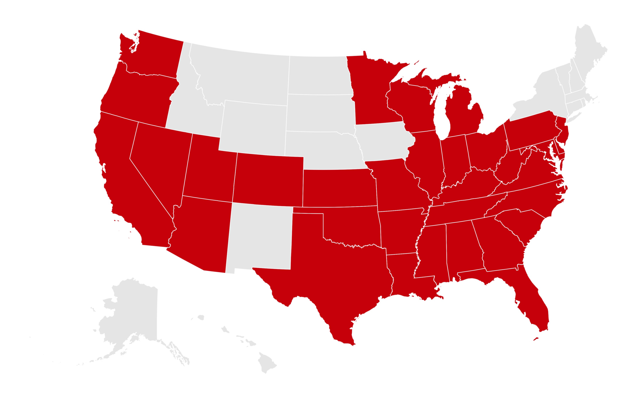 About Us | Red Rose Insurance